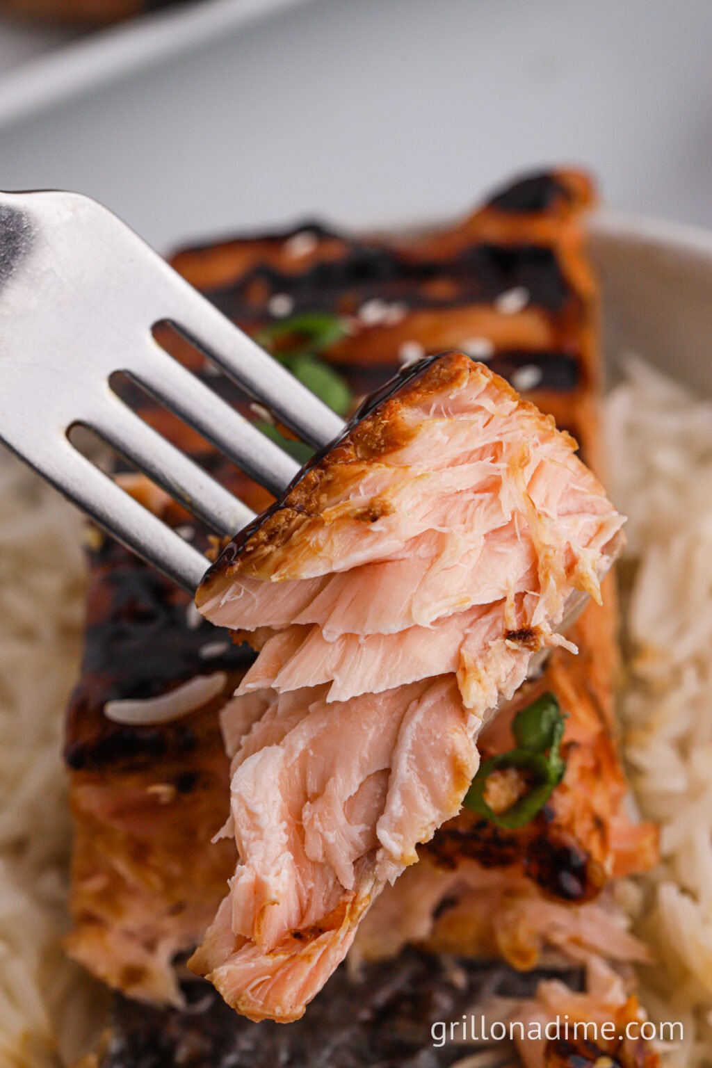 Grilled Teriyaki Salmon - grillonadime.com