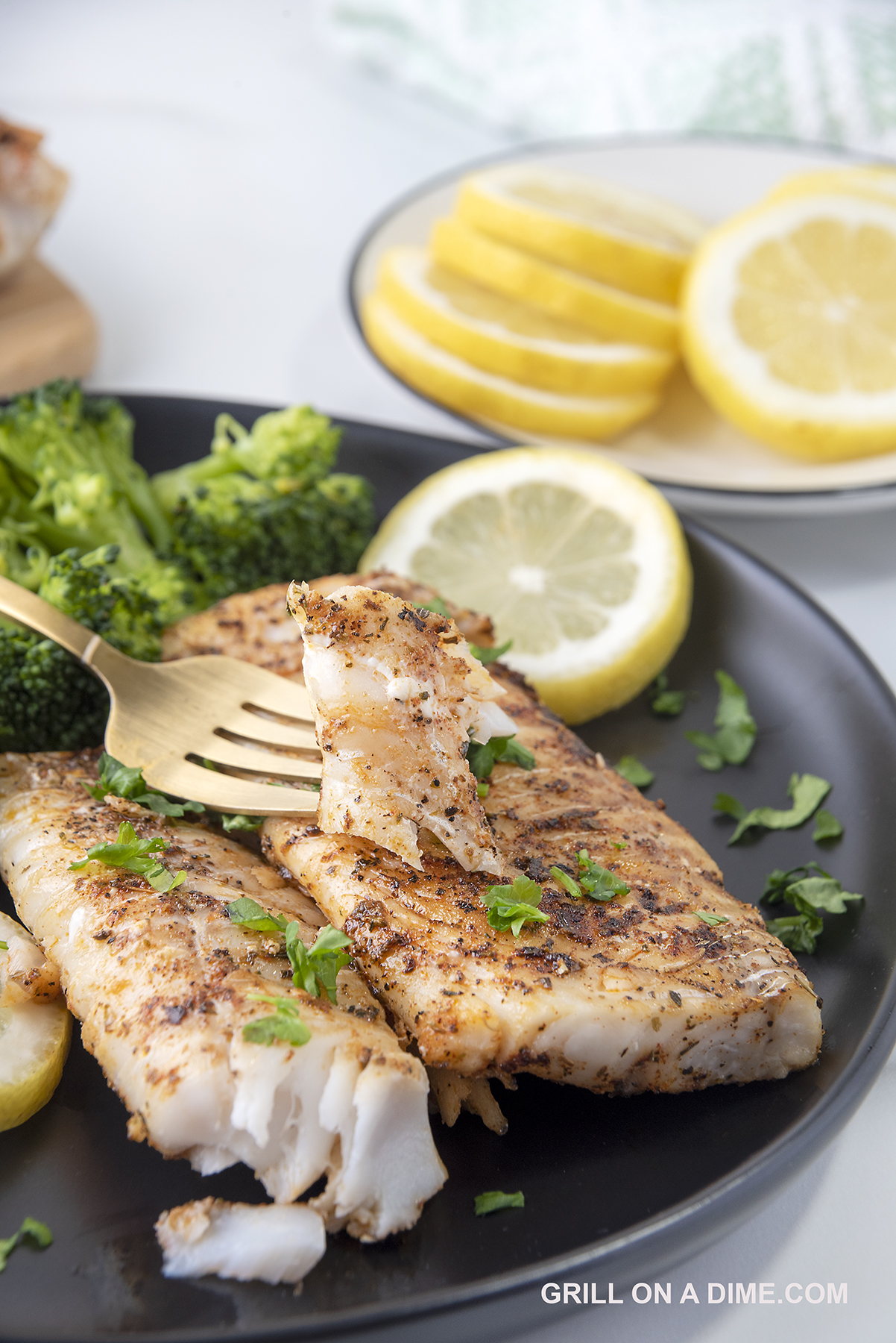 Easy Grilled Haddock Recipe - Grill on a Dime