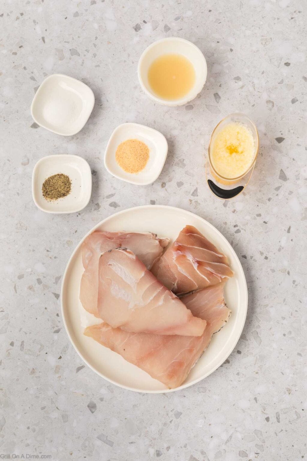 Grilled Grouper Recipe - grillonadime.com