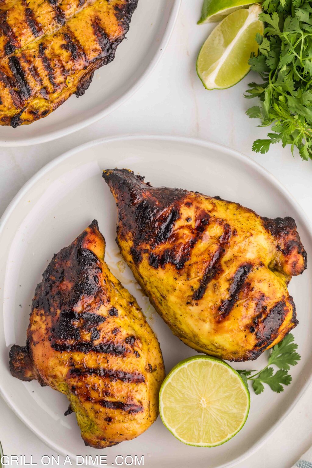 Chicken Curry Marinade - grillonadime.com