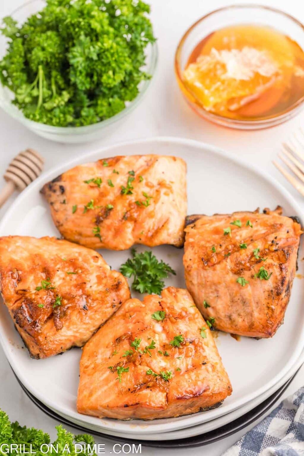 Grilled Honey Garlic Salmon Recipe with Simple Ingredients