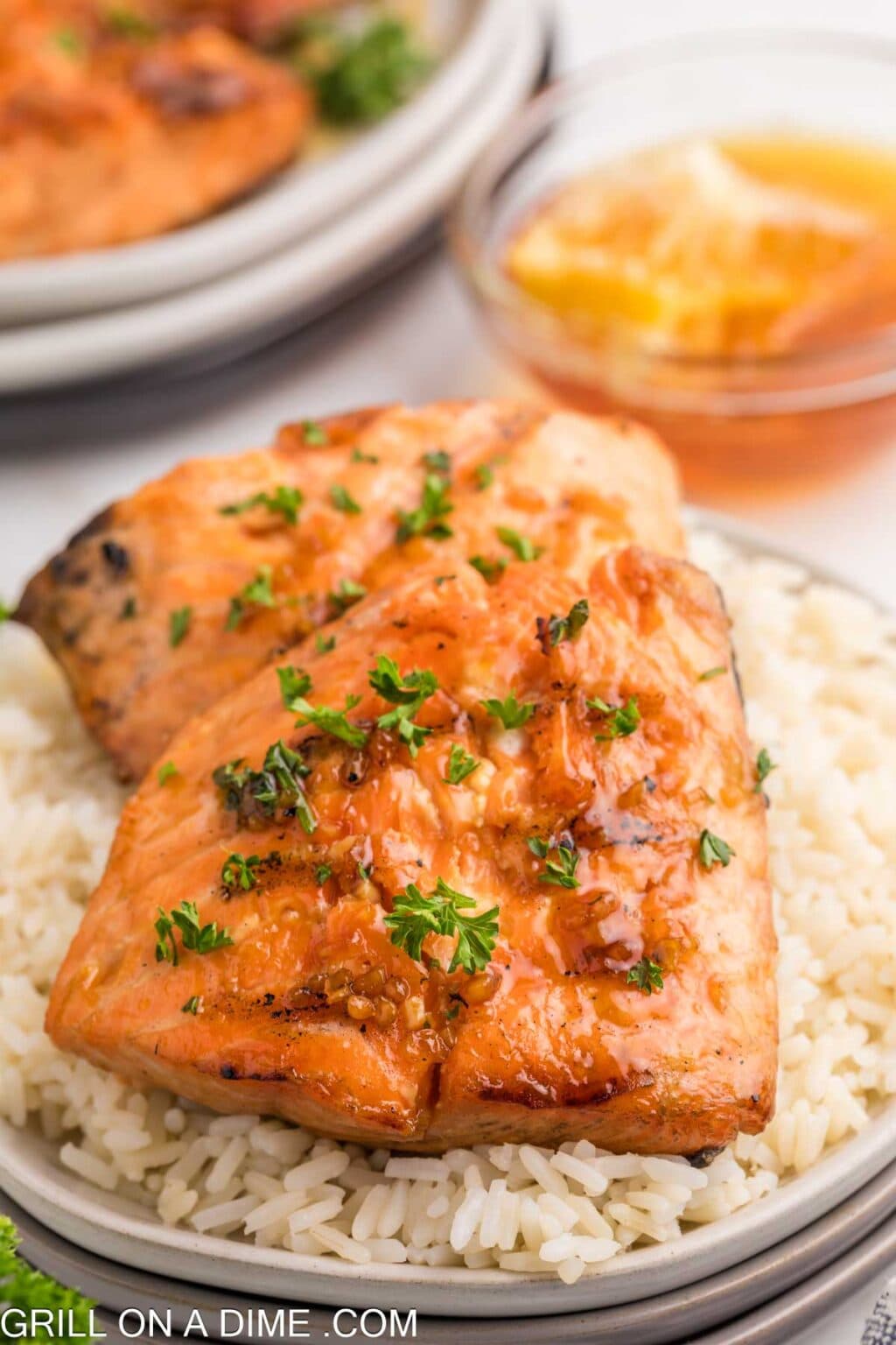 Grilled Honey Garlic Salmon Recipe with Simple Ingredients