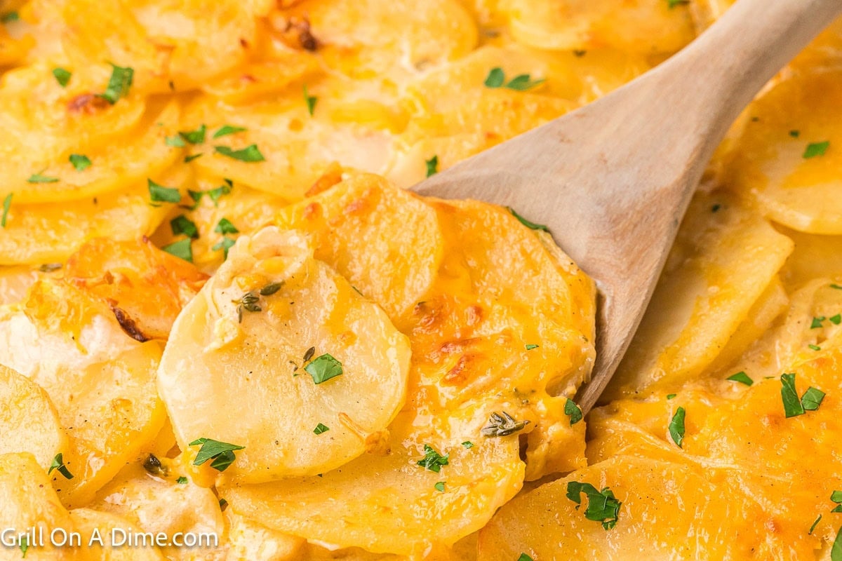 Smoked Scalloped Potatoes - grillonadime.com