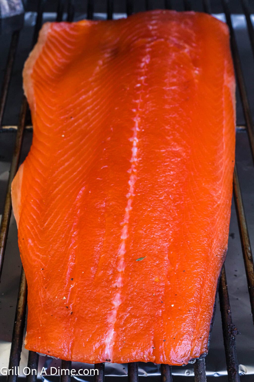 Cold Smoked Salmon: Simple Recipe for Impressive Appetizers ...