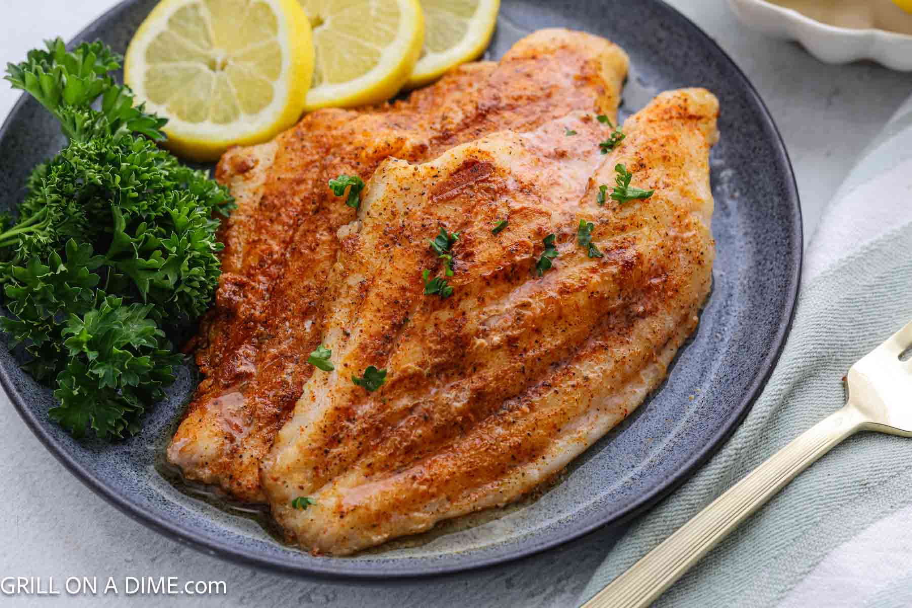 Grilled Catfish - grillonadime.com