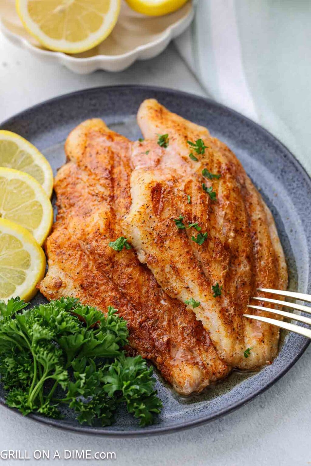 Grilled Catfish: Simple and Delicious Recipe - grillonadime.com